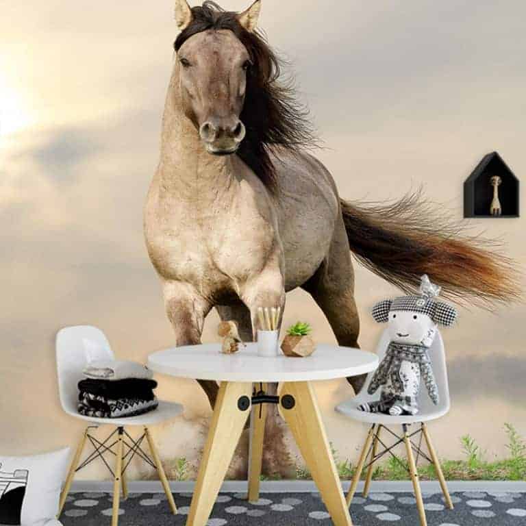 Fotobehang Zwart paard . Speciaal op maat gemaakt bij YouPri.nl