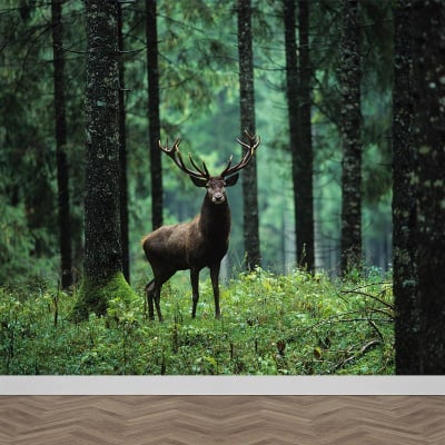 Fotobehang Hert in bos (op maat) youpri
