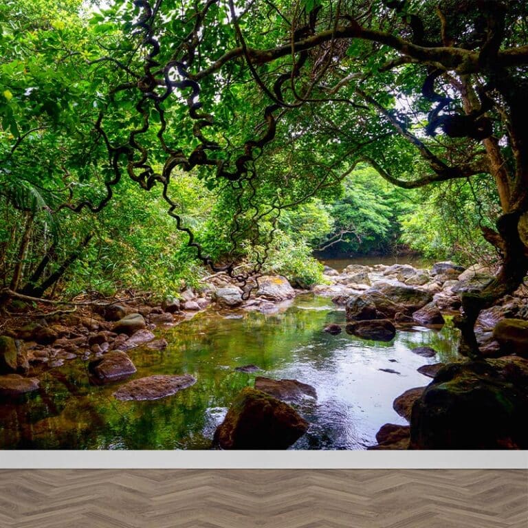 Fotobehang Bos met beek | Haal de natuur in huis! youpri